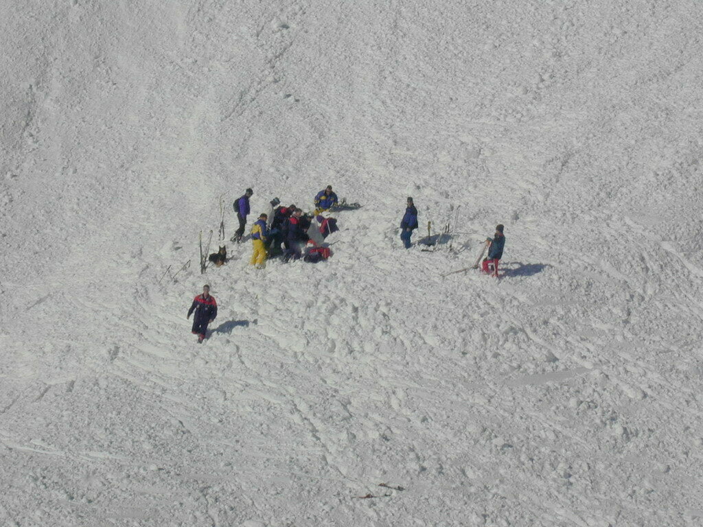 Resuscitation of Avalanche Victims · ICAR – International Commission ...