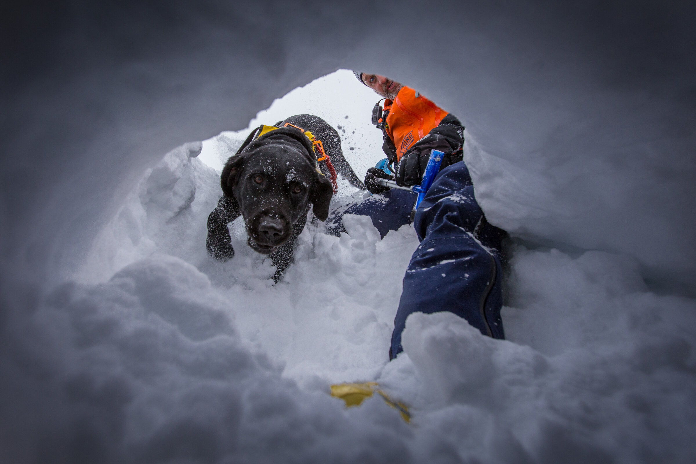 ICAR – International Commission for Alpine Rescue