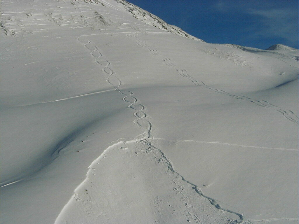 Avalanche Safety Devices and Systems · ICAR – International Commission ...