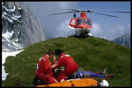 Treatment of Pain on the Field · ICAR – International Commission for ...