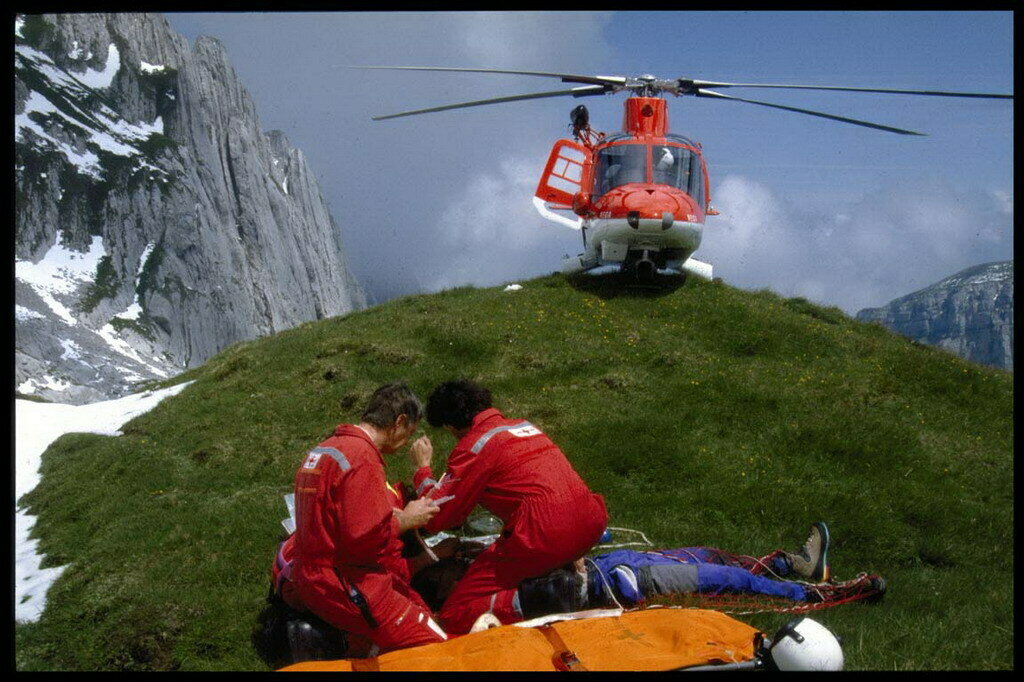 Treatment of Pain on the Field · ICAR – International Commission for ...