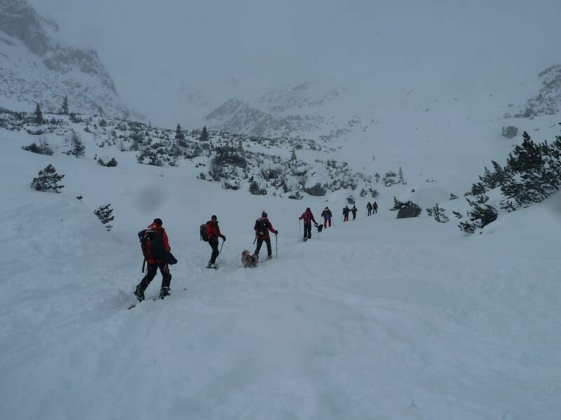 Organized Avalanche Rescue Probing Strategies · ICAR – International ...